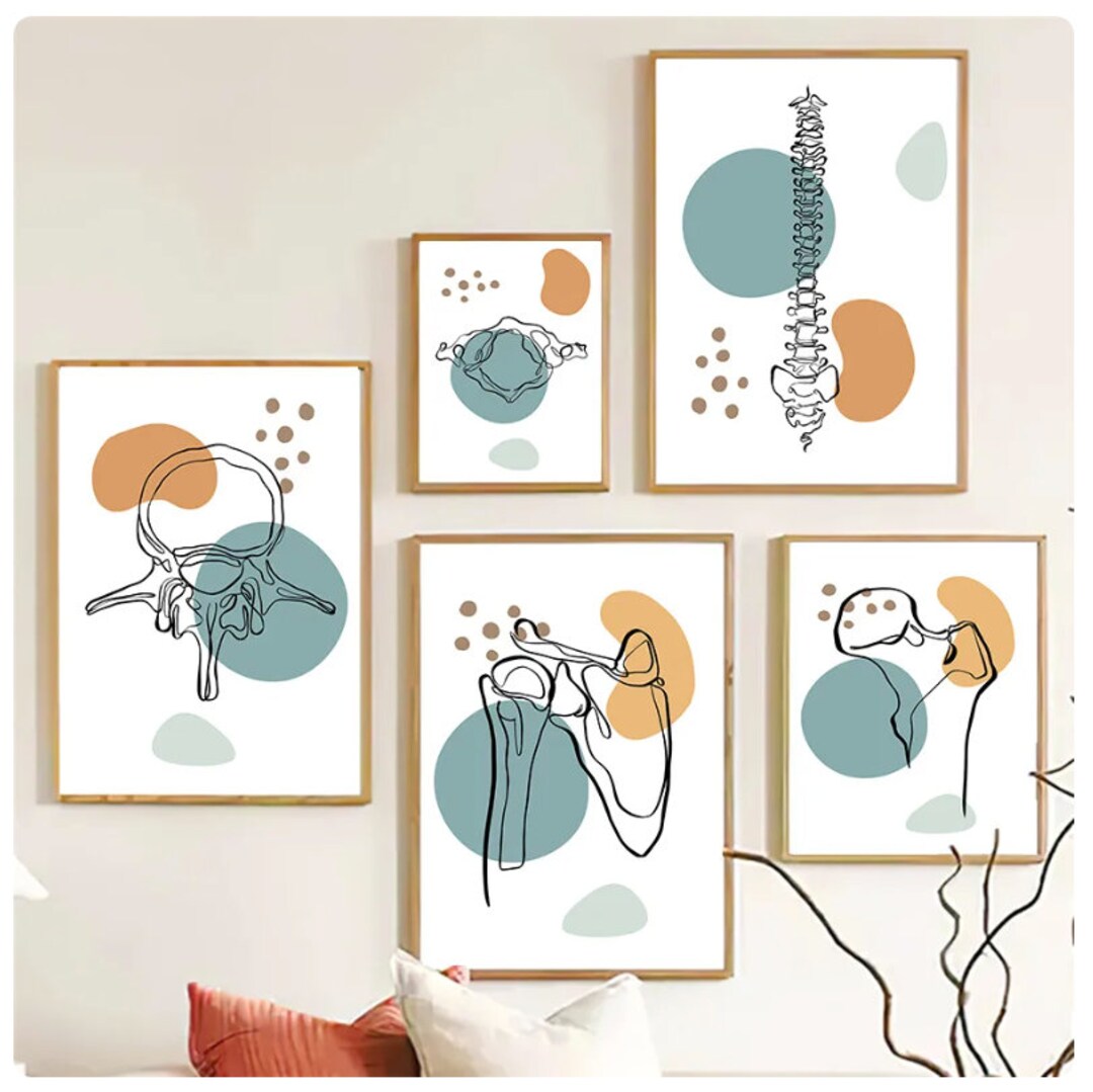 Human Anatomy Medical Wall Art Prints for Clinic Decor Anatomy Prints ...