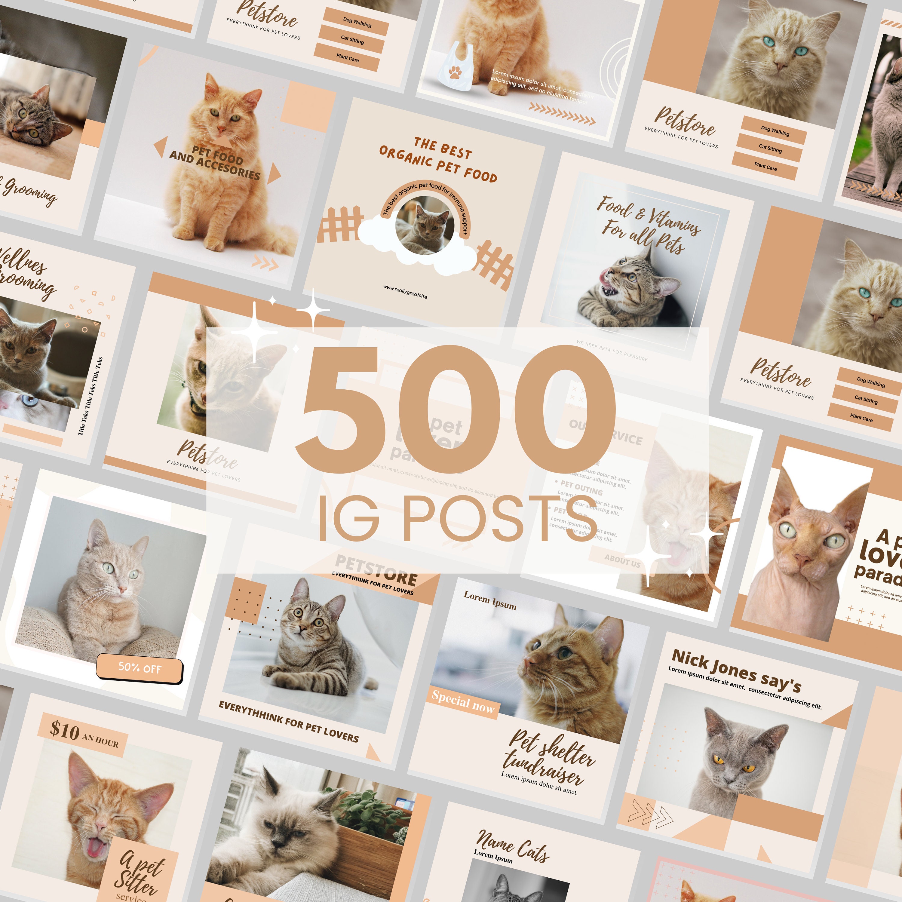 Cat Instagram | Cat Social Media | Engagement Boost | Pets Business ...
