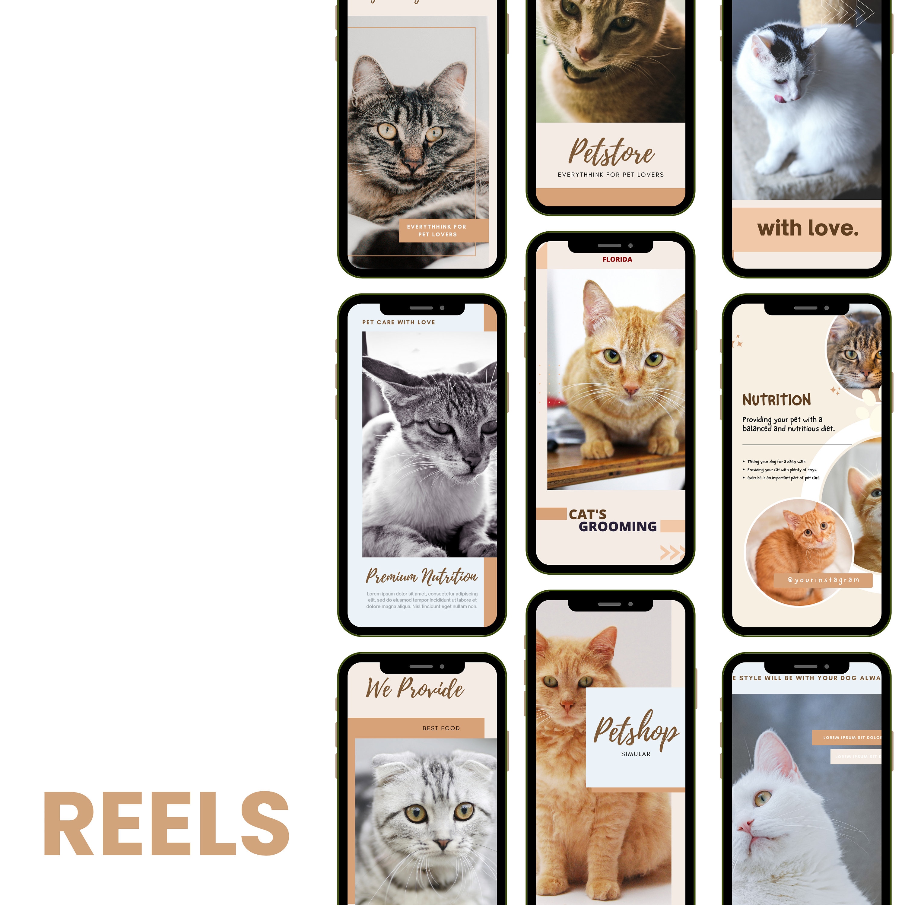 Cat Instagram | Cat Social Media | Engagement Boost | Pets Business ...