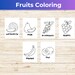 Buy Fruit Coloring Pages, Fruit Coloring Book for Kids, Boys, Girls ...