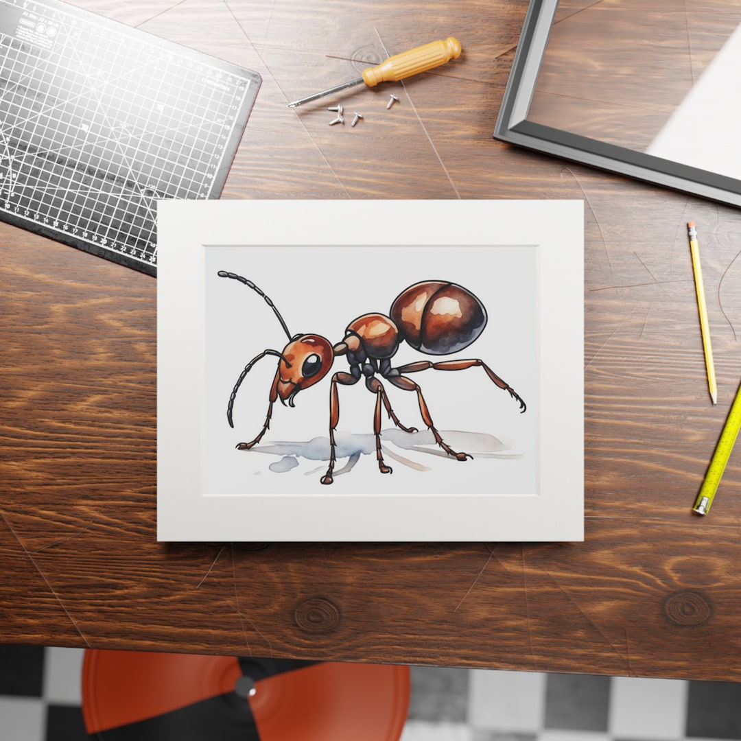 Watercolor Ant Art (passepartout Paper Frame) - Etsy