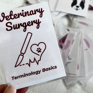 Cat Spice Chart Temperament Cage Card Veterinary Safety Chart Cat ...