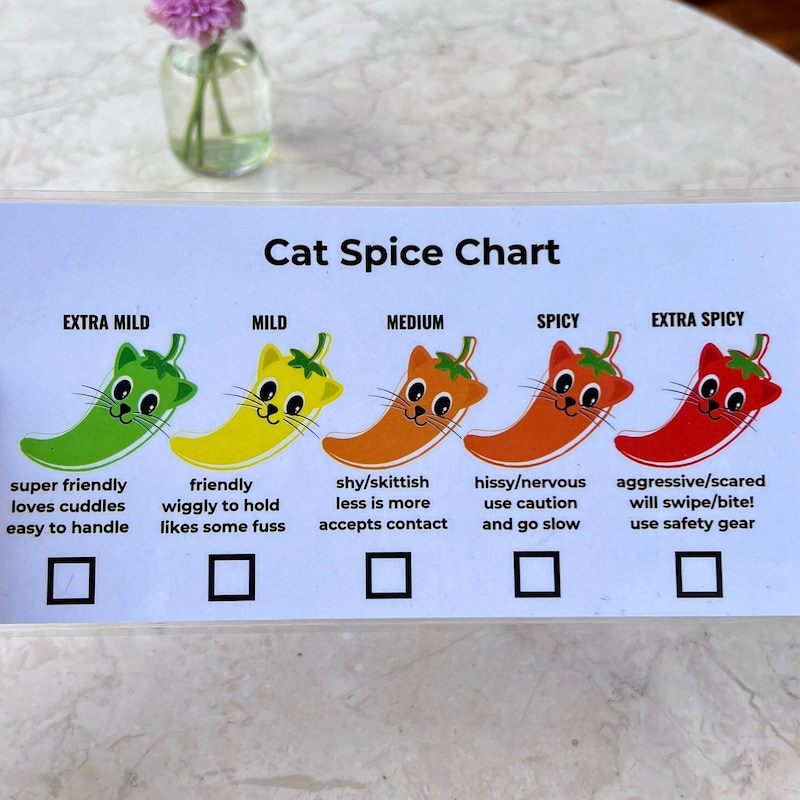 Charts on Cats - Etsy