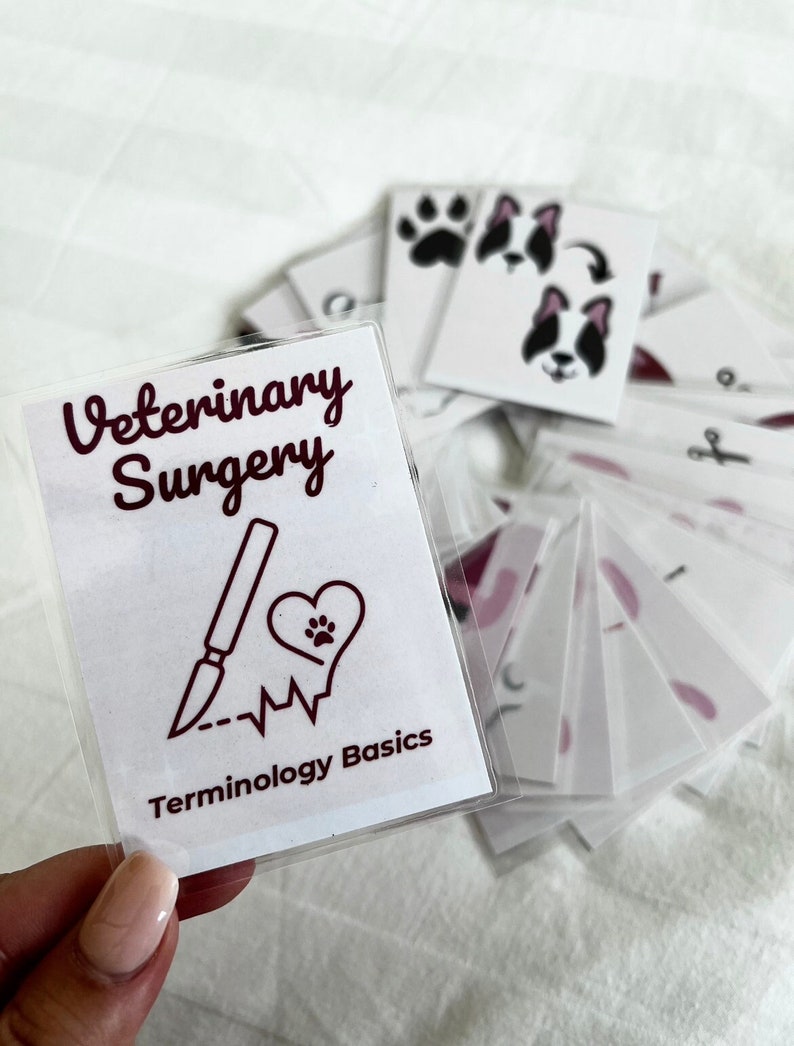 Veterinary Surgery Flashcards Veterinary Study Veterinarian - Etsy