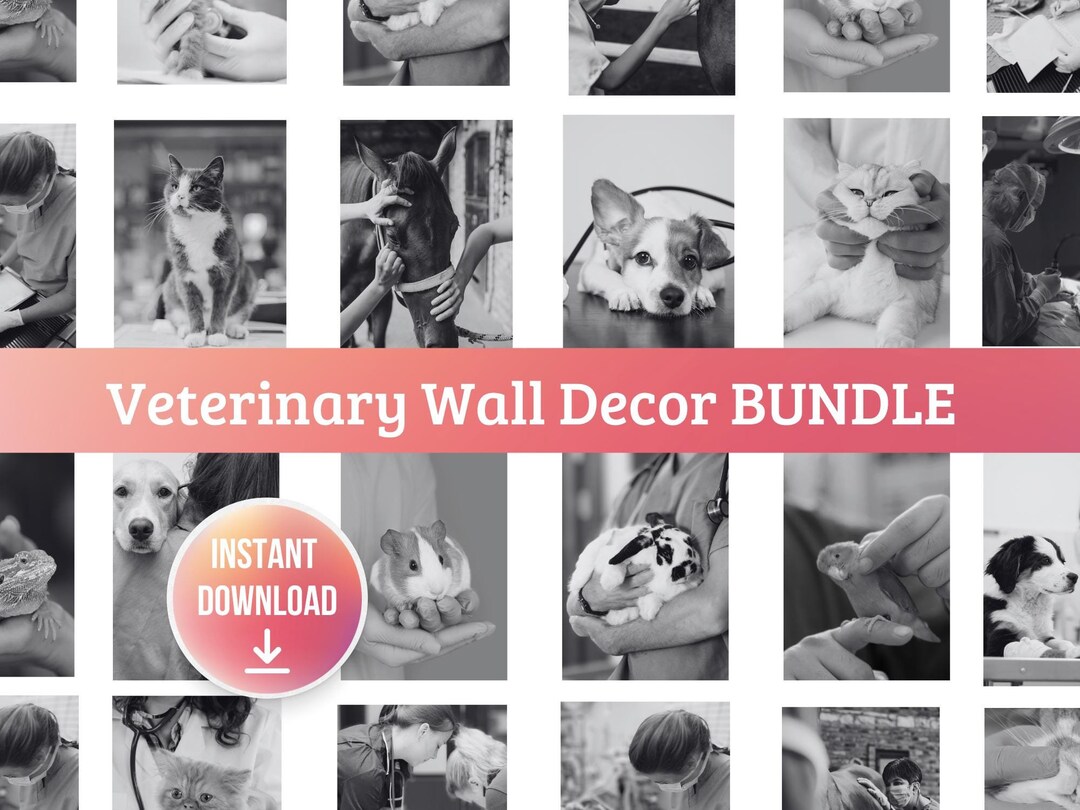 Veterinary Wall Decor BUNDLE Vet Tech Wall Art Veterinary Decor Pet ...