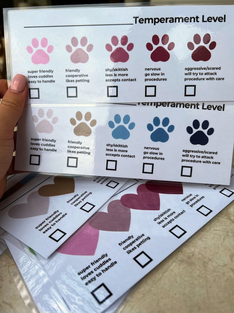 Safety Chart Veterinary Clinic Safety Guide Veterinary Safety Animal ...