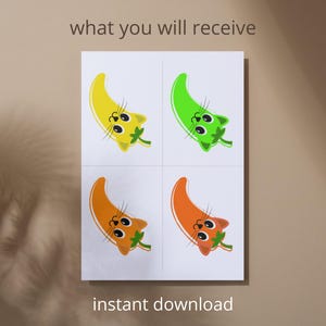 Cat Spice Chart Individual Peppers Temperament Cage Card Veterinary ...