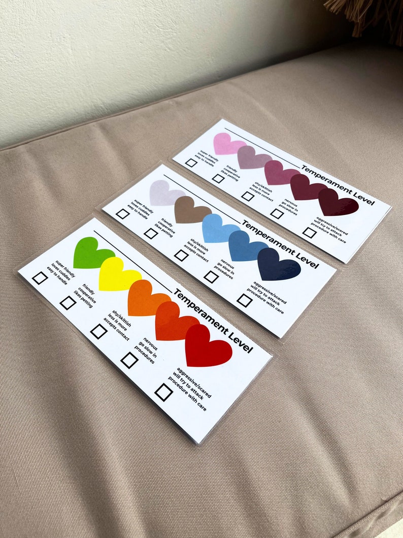 Safety Chart Veterinary Clinic Safety Guide Veterinary Safety Animal ...