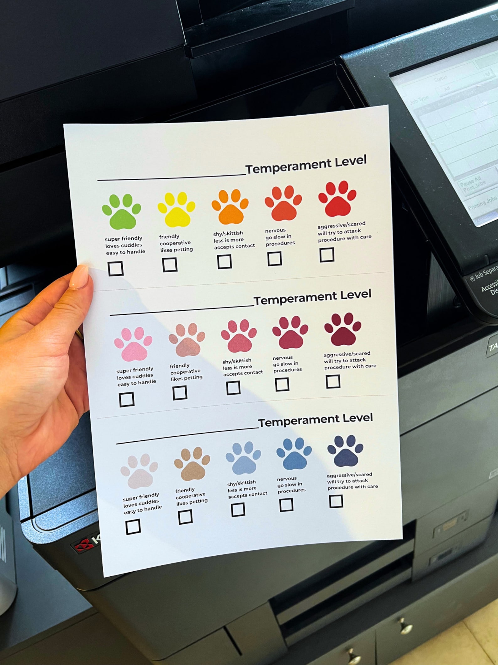 Paw Chart All 3 Colors Safety Paw Chart Vet Tech Safety Cage Card Dog ...