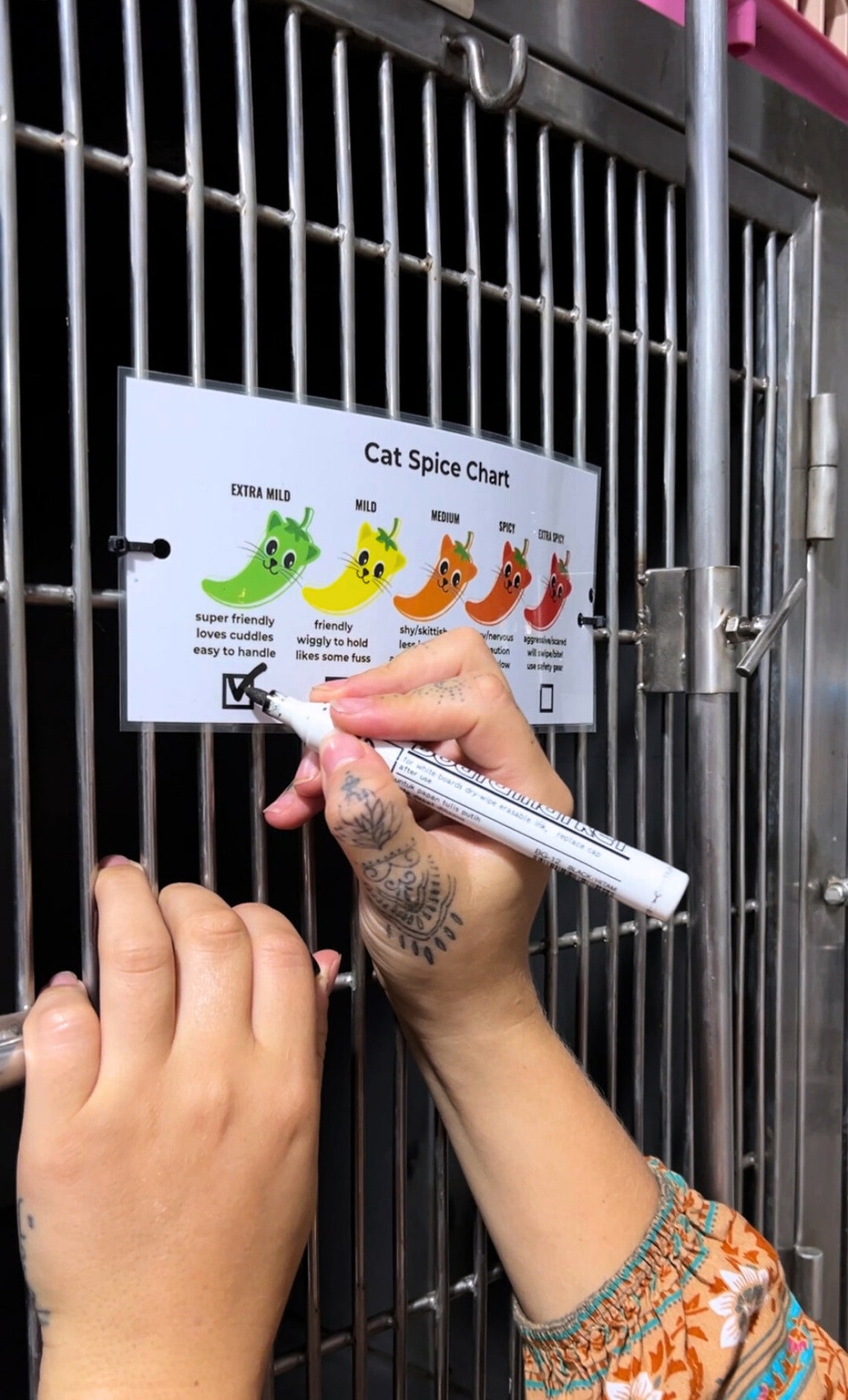 Cat Cage Card Temperament Chart Veterinary Safety Chart Cat Temperament ...