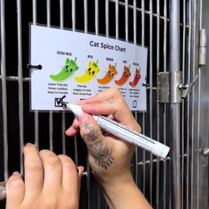 Cat Spice Chart Temperament Cage Card Veterinary Safety Chart Cat ...