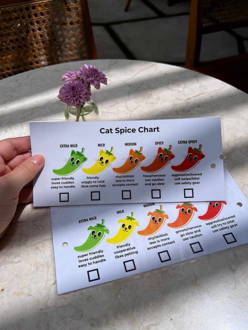 Cat Spice Chart Temperament Cage Card Veterinary Safety Chart Cat ...