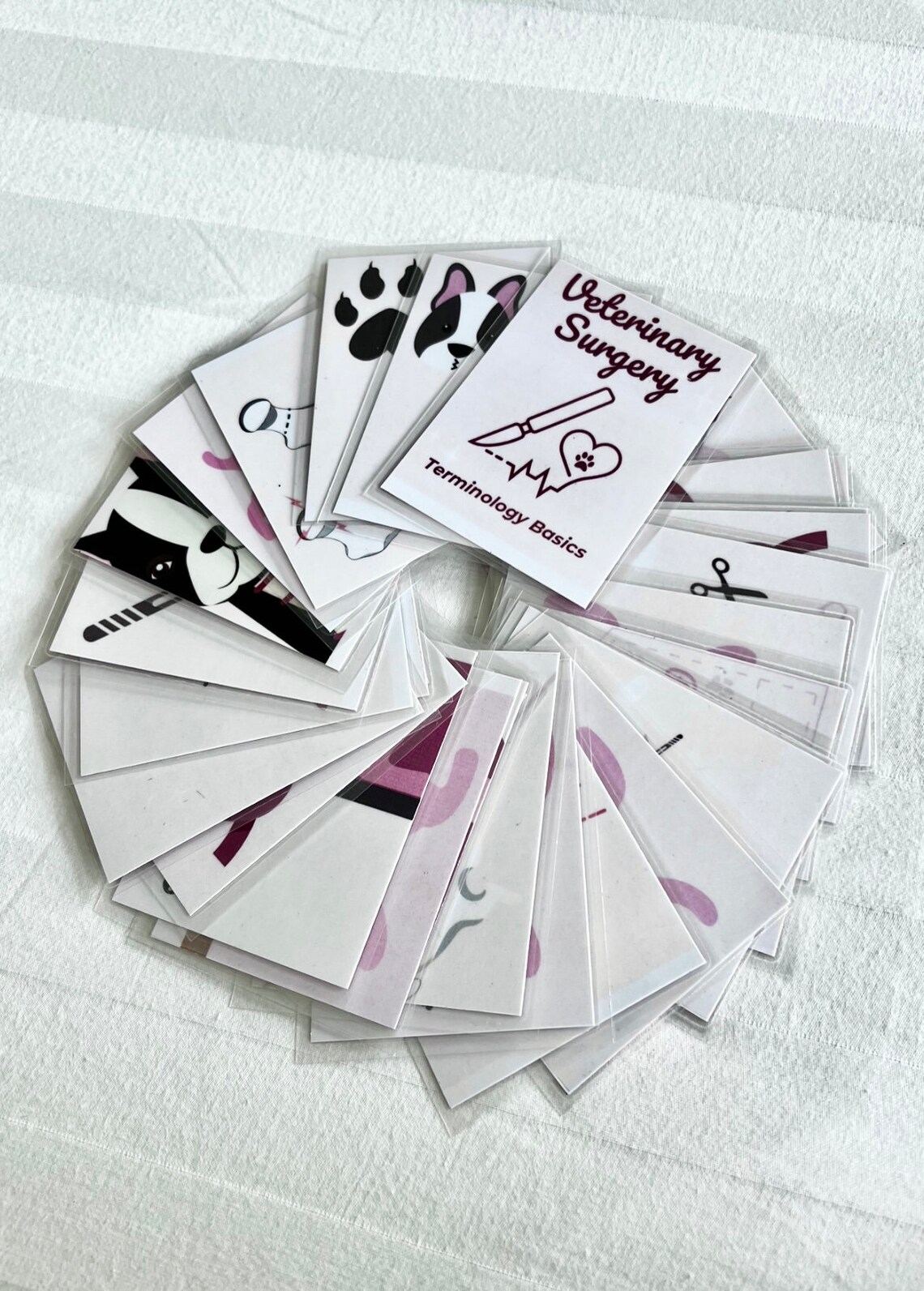 Veterinary Surgery Flashcards Veterinary Study Veterinarian Pocket ...