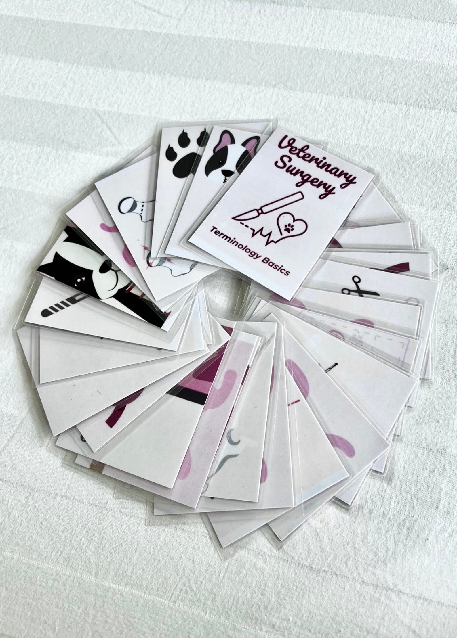 Veterinary Surgery Flashcards Veterinary Study Veterinarian Pocket ...