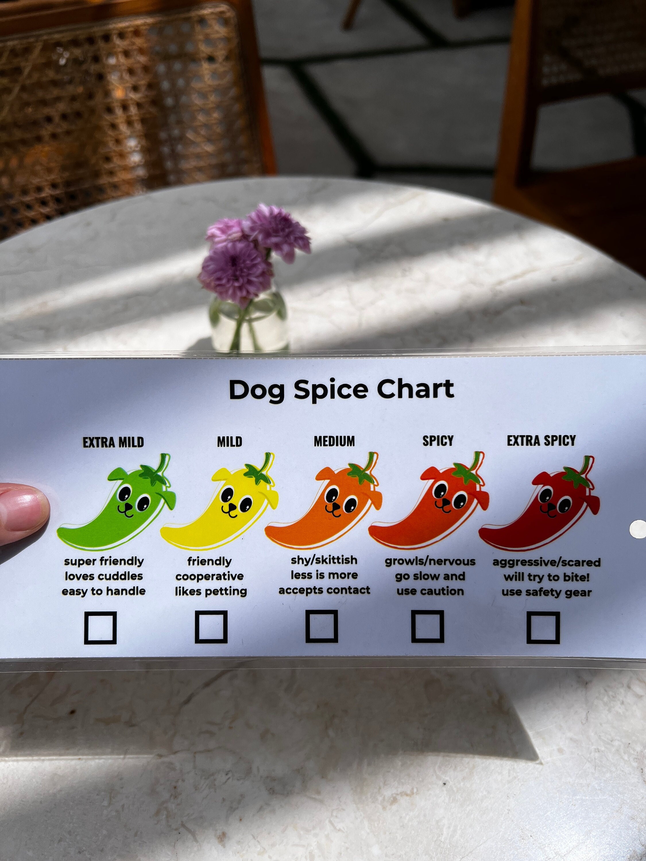 Dog Spice Chart Temperament Dog Safety Chart Veterinary Clinic Dog Cage ...