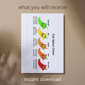 Cat Spice Chart Individual Peppers Temperament Cage Card Veterinary ...