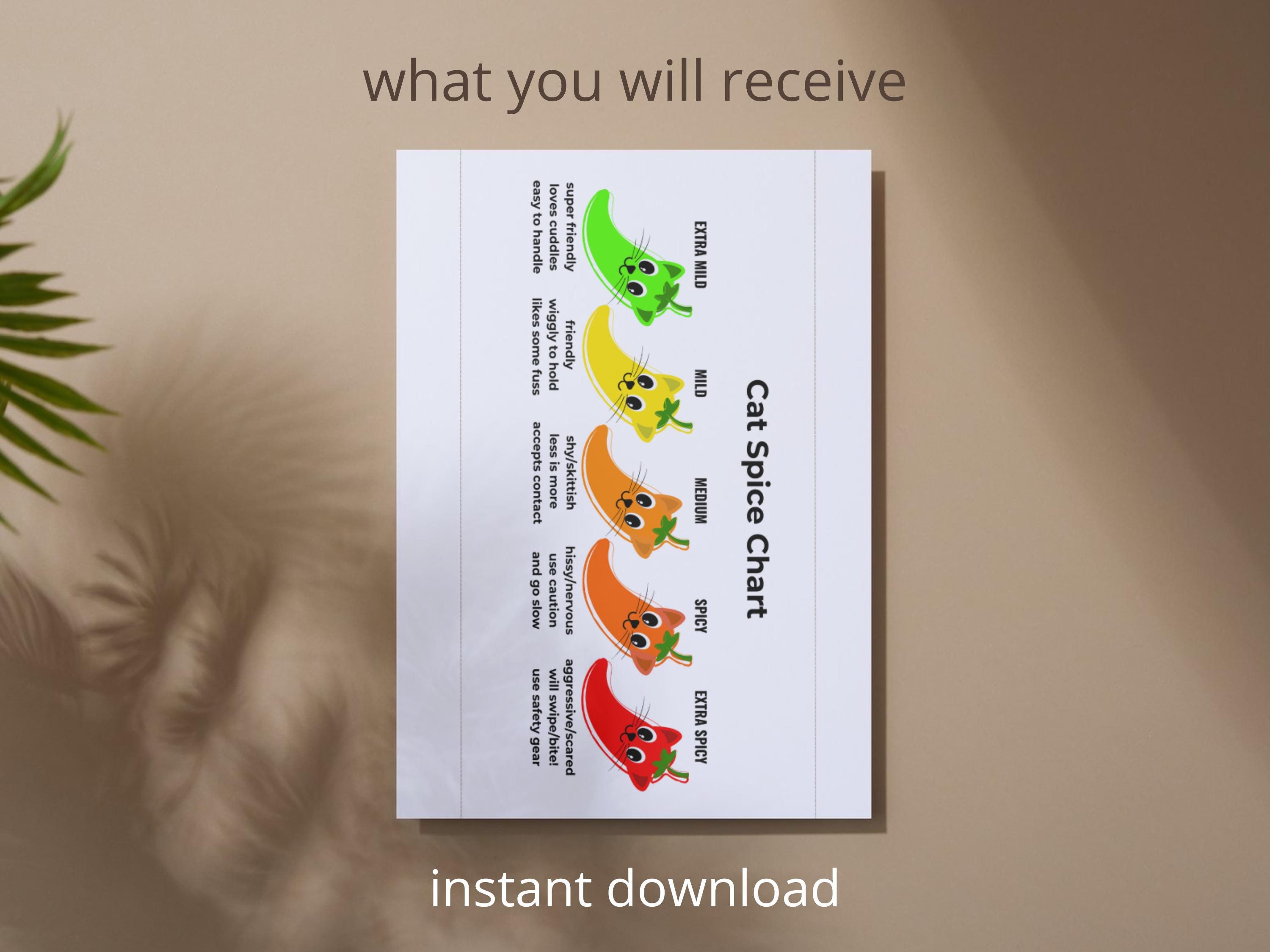 Cat Spice Chart Individual Peppers Temperament Cage Card Veterinary ...