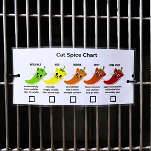 Cat Spice Chart Temperament Cage Card Veterinary Safety Chart Cat ...