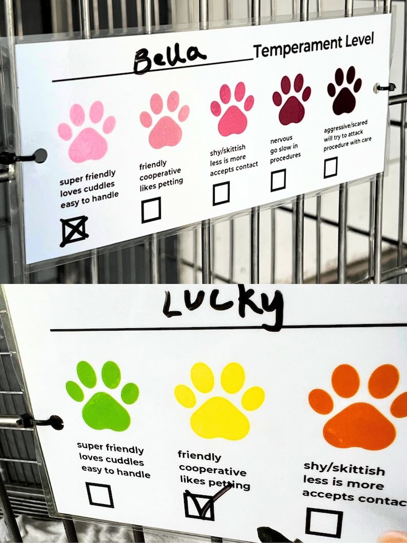 Paw Chart All 3 Colors Safety Paw Chart Vet Tech Safety Cage Card Dog ...