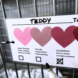 Vet Tech Safety Sign Vet Tech Safety Chart Vet Tech Essential ...