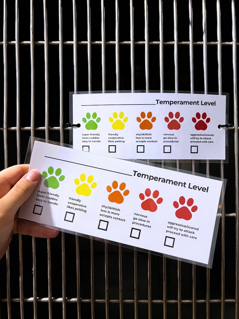 Cat Spice Chart Temperament Cage Card Veterinary Safety Chart Cat ...