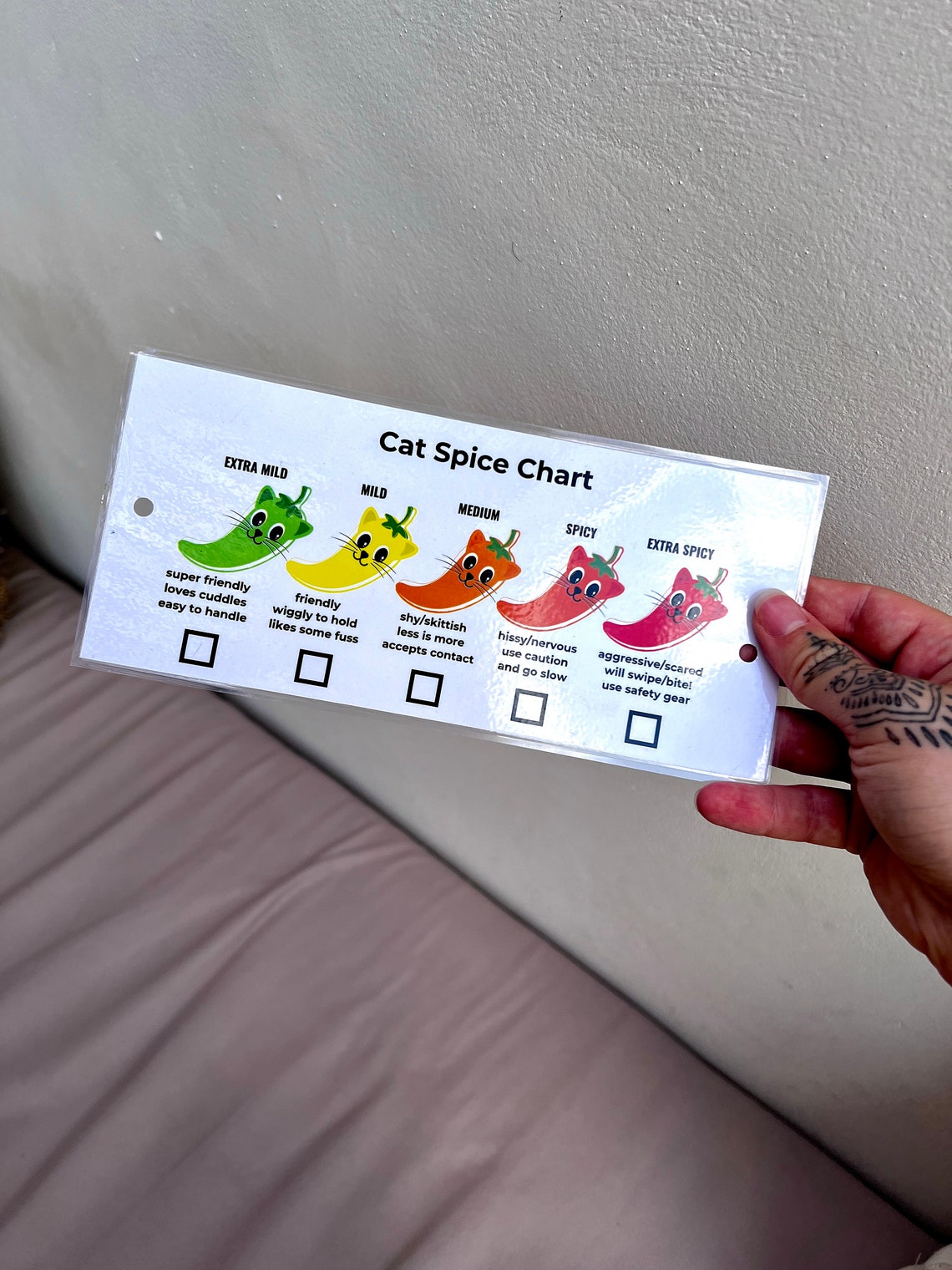 Cat Spice Chart Temperament Cage Card Veterinary Safety Chart Cat ...