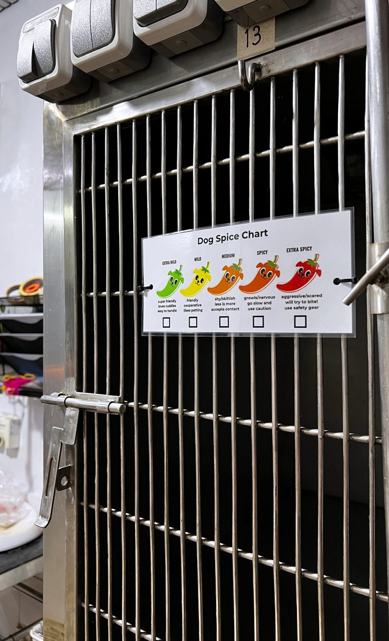 Cat Spice Chart Temperament Cage Card Veterinary Safety Chart Cat ...