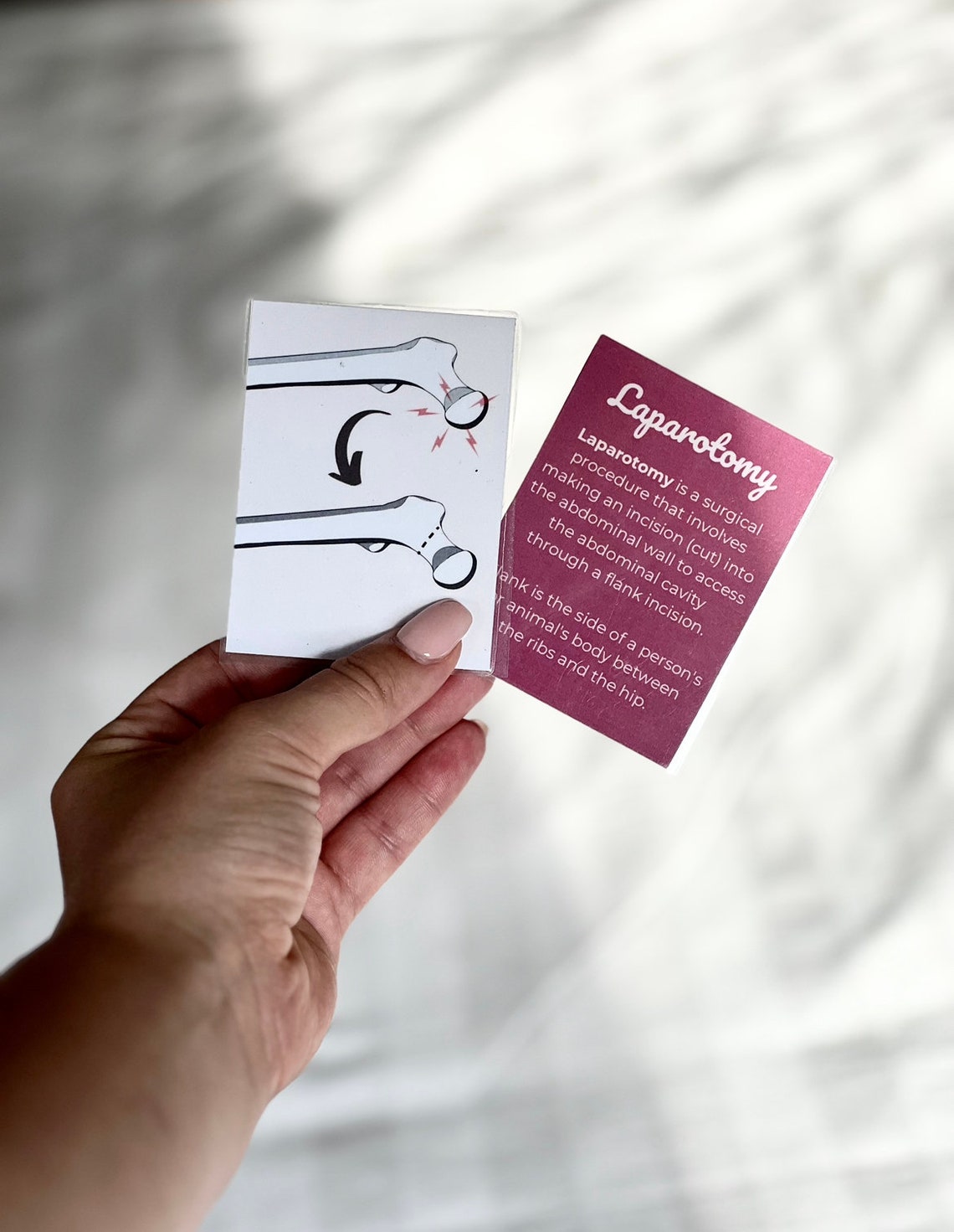 Veterinary Surgery Flashcards Veterinary Study Veterinarian Pocket ...