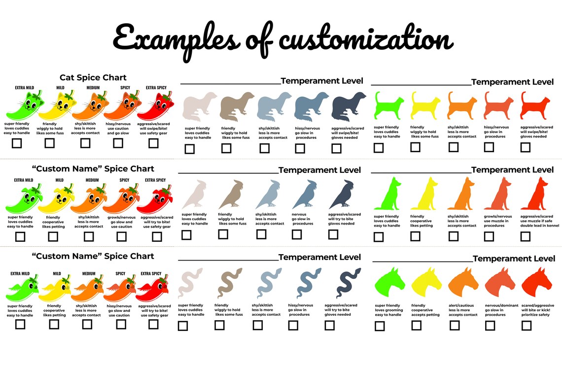 Safety Chart Veterinary Clinic Safety Guide Veterinary Safety - Etsy Canada