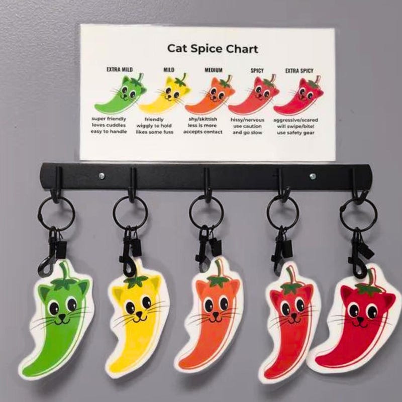 Veterinary Art - Etsy