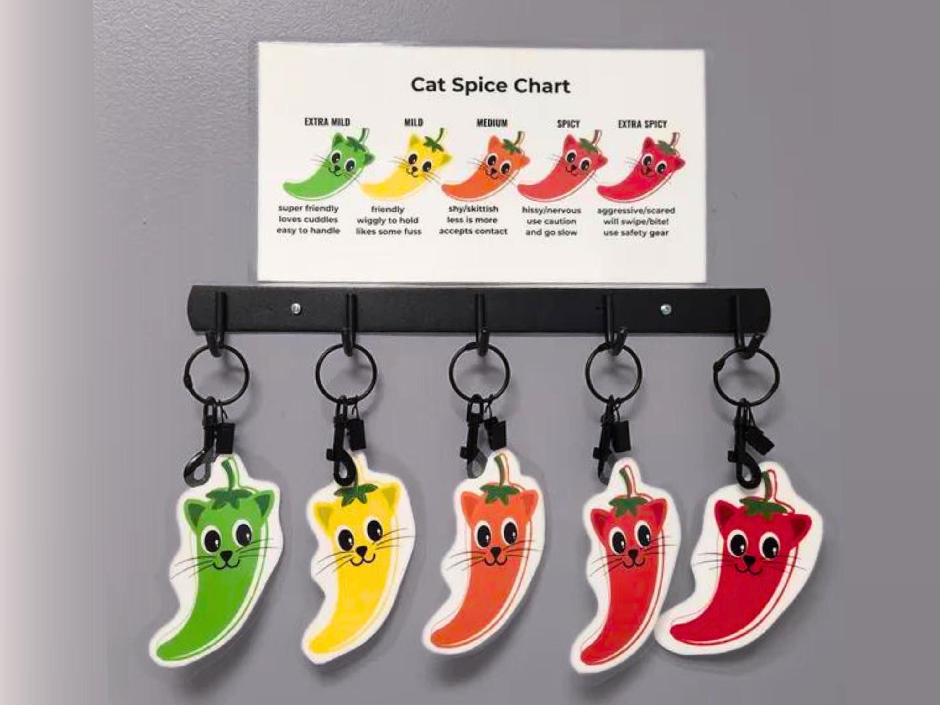 Cat Spice Chart Individual Peppers Temperament Cage Card Veterinary ...