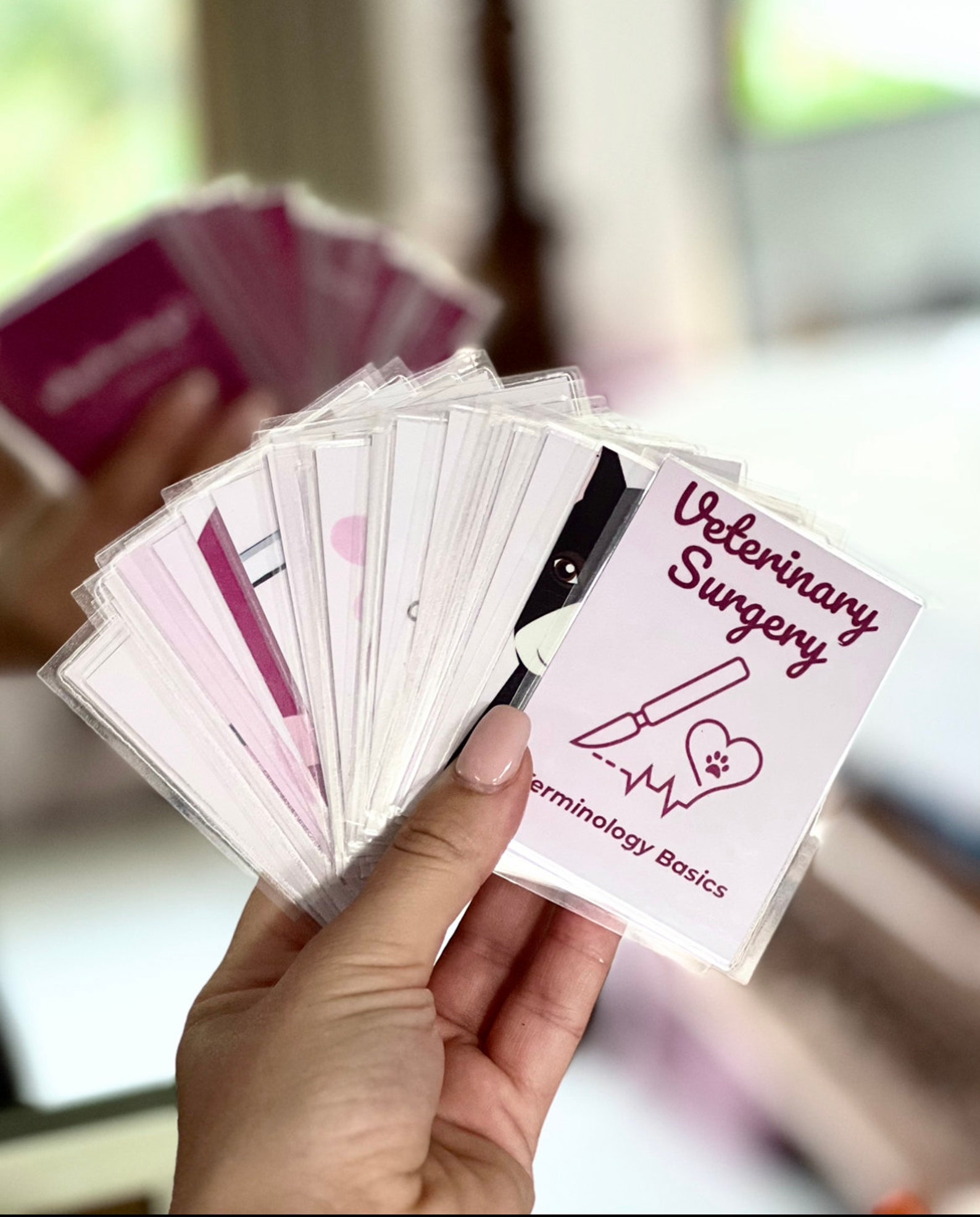 Veterinary Surgery Flashcards Veterinary Study Veterinarian Pocket ...