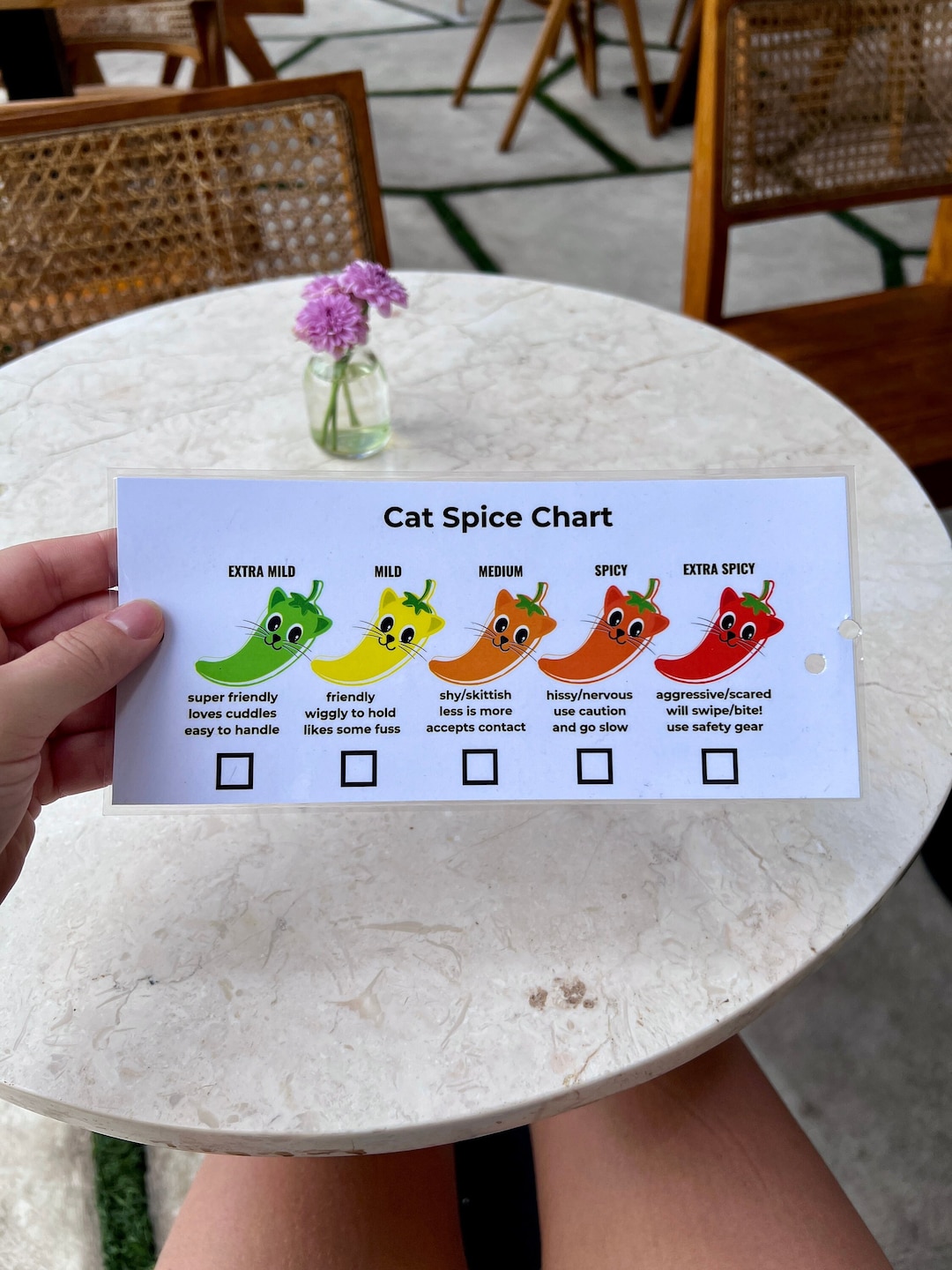 Cat Spice Chart Temperament Cage Card Veterinary Safety Chart Cat ...