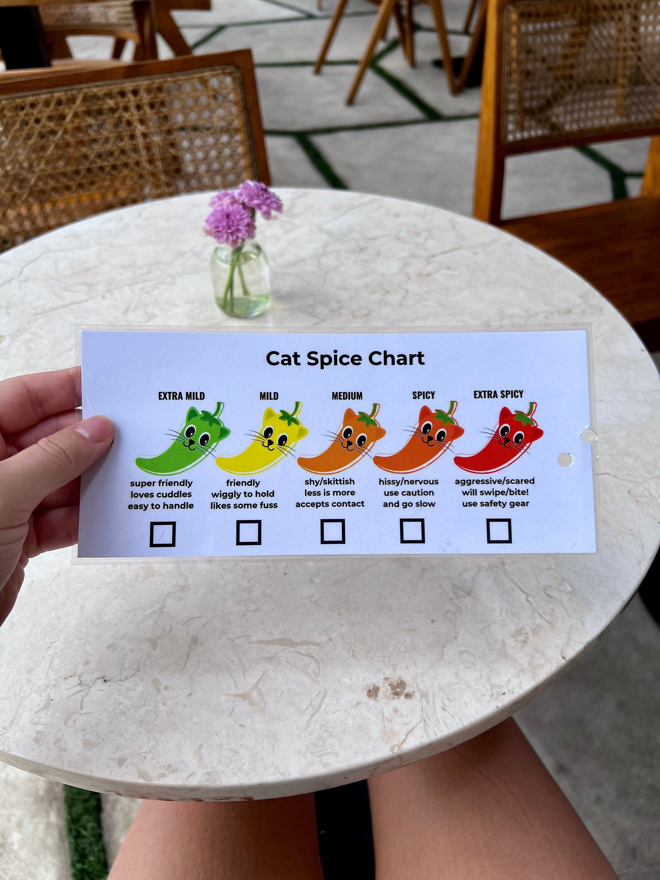 Cat Spice Chart Temperament Cage Card Veterinary Safety Chart Cat ...