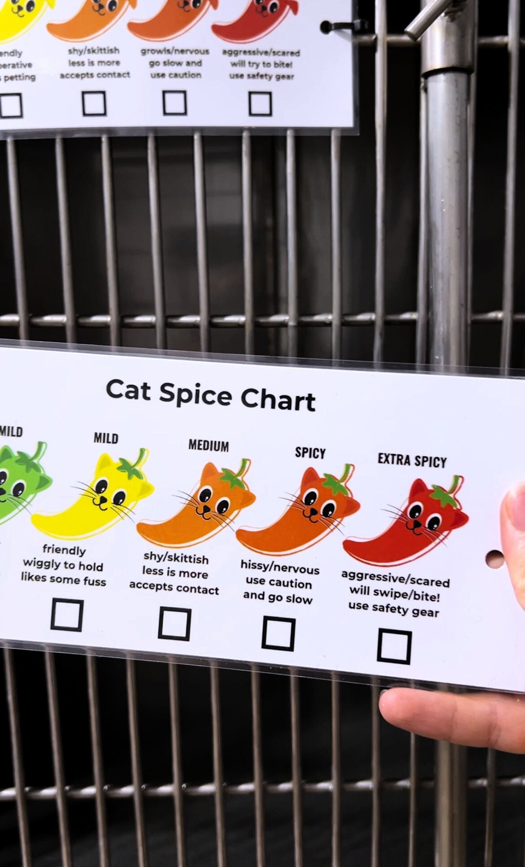 Cat Spice Chart Temperament Cage Card Veterinary Safety Chart Cat ...