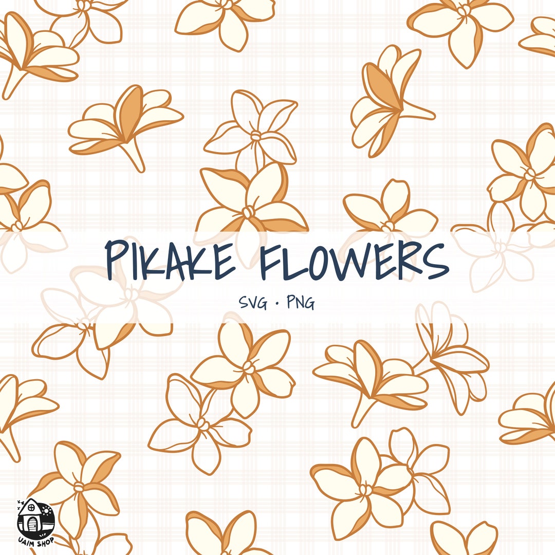 Seamless Pattern Pikake Flowers Png | Outline Floral Png | Lei Digital ...