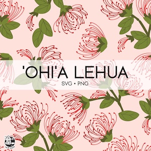 Seamless Pattern Ohia Lehua | Floral Png | Svg Cut File | Digital ...
