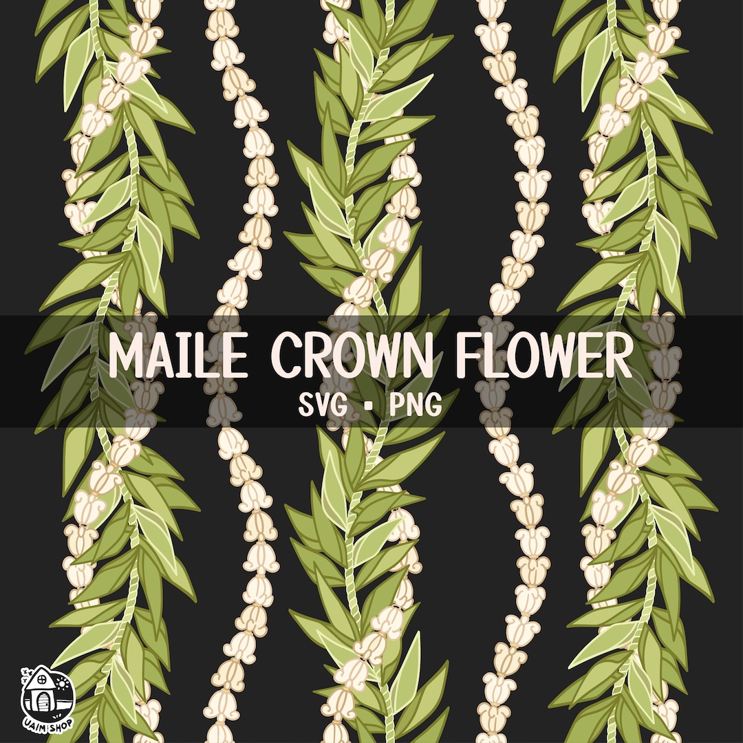 Seamless Pattern Vertical Maile & Pikake Lei | Twist Flower Lei Png ...