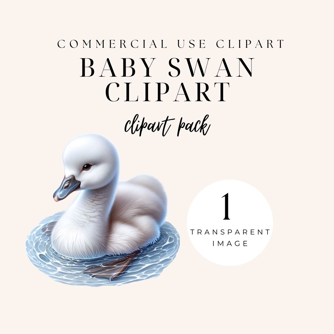 Baby Swan Clipart, Watercolor Swan Clipart, Sweet Baby Swan Clipart ...
