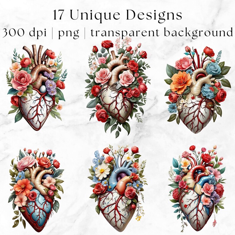 Human Heart Clipart, Heart PNG, Anatomical Heart, Human Heart, Floral ...