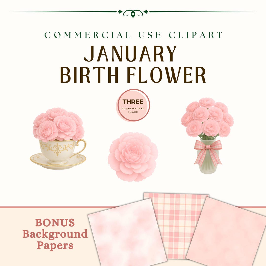 January Birth Flower Clipart Set, Pink Carnation Graphics, Scrapbook ...