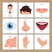 Body Parts Flashcards-body Parts Flashcards-homeschool-toddler Flash ...