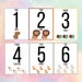The Numbers Flashcards- Images of Numbers for Children-homeschool ...