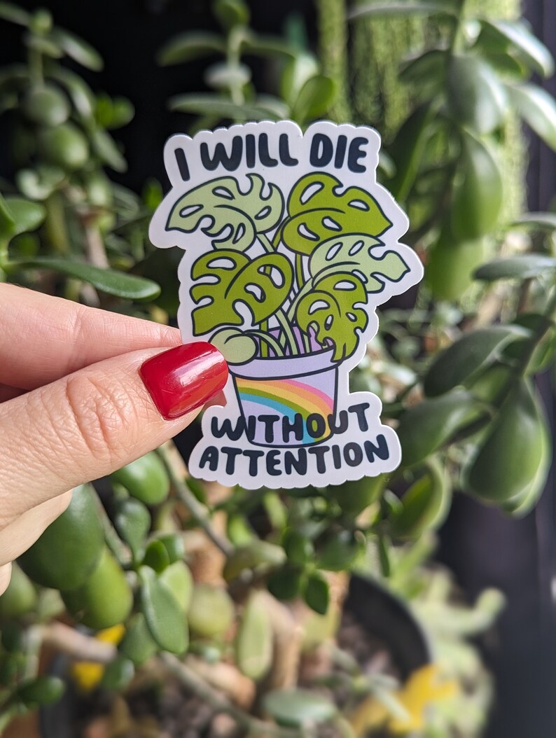 Monstera Plant Sticker: Funny Drama Queen Vinyl Decal - Etsy