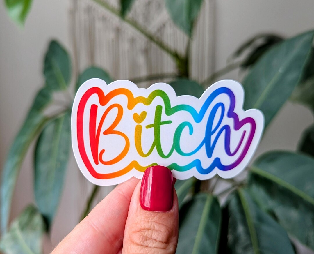 Bitch Sticker, Sassy Stickers for Water Bottle, Snarky Gifts for Sister ...