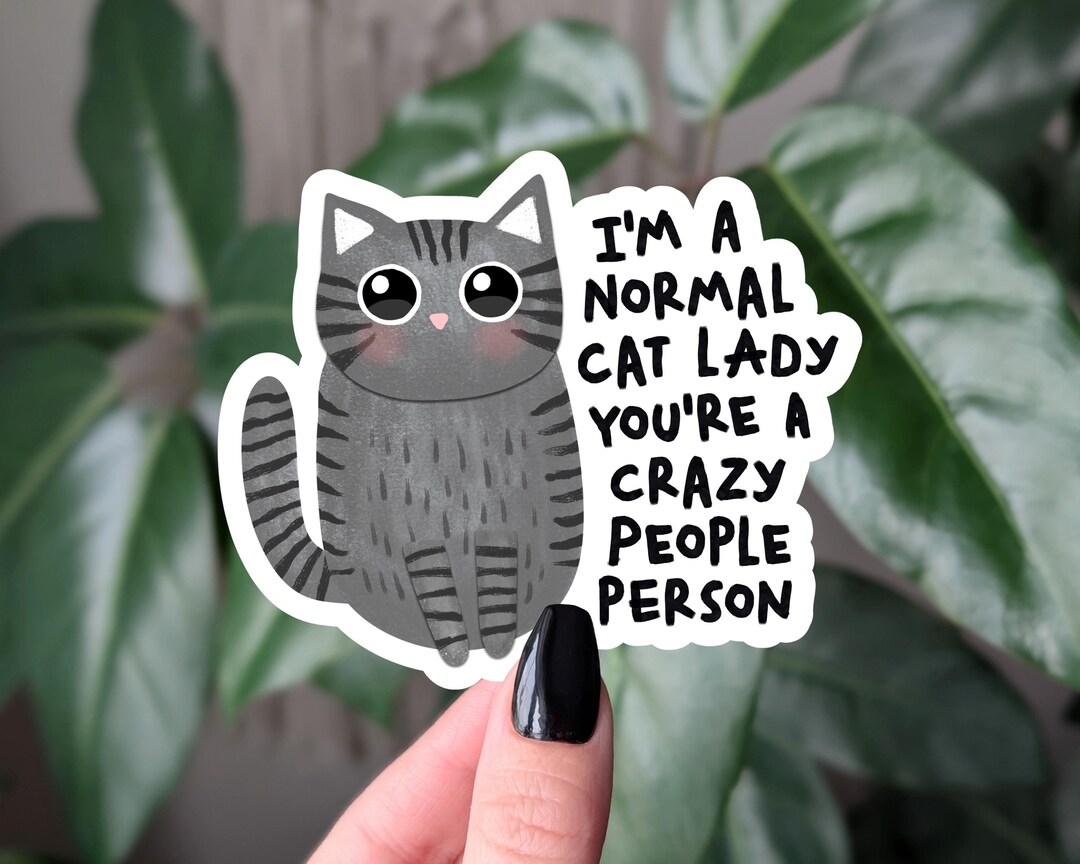 Funny Cat Lady Vinyl Sticker: Crazy People Person Laptop Decal - Etsy
