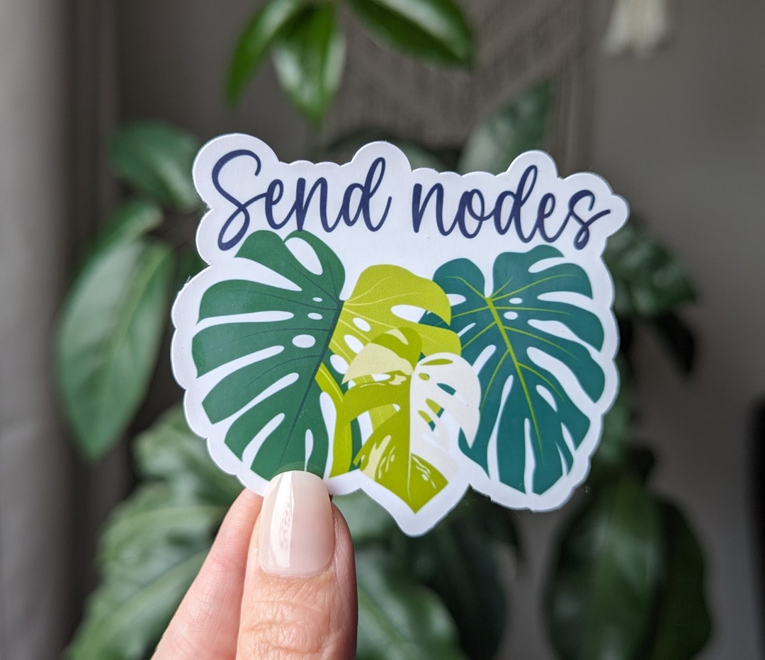 Send Nodes, Plant Lover Stickers for Water Bottle, Plant Girly Things ...