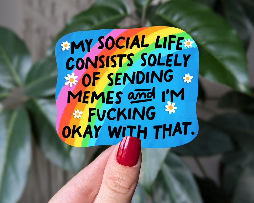 Funny Meme Sticker: Rainbow Vinyl Decal - Social Life Humor - Etsy