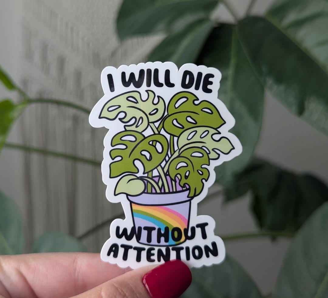 Monstera Plant Sticker: Funny Drama Queen Vinyl Decal - Etsy