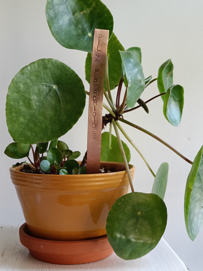 Handstamped Copper Label Tag or Sign With a Vintage Flare - Etsy